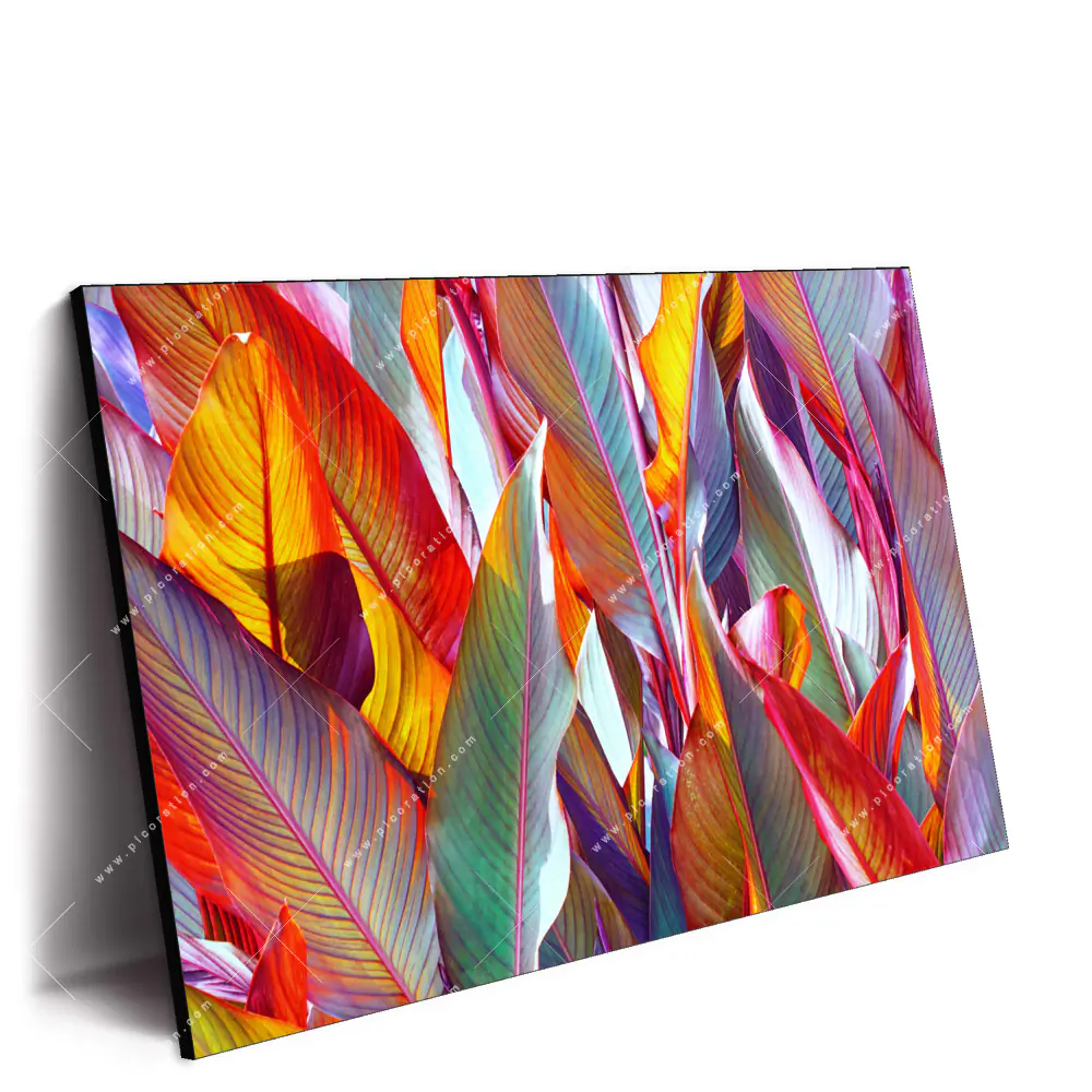 🖼️ LED-Wandbild - Blätter in bunten Farben im Querformat – Picoration ...