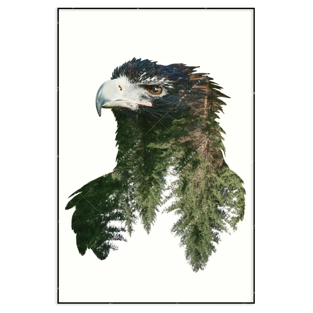 🖼️ XXL-Wandbild - Adler & Wald im Hochformat – Picoration® - Big Wall ...