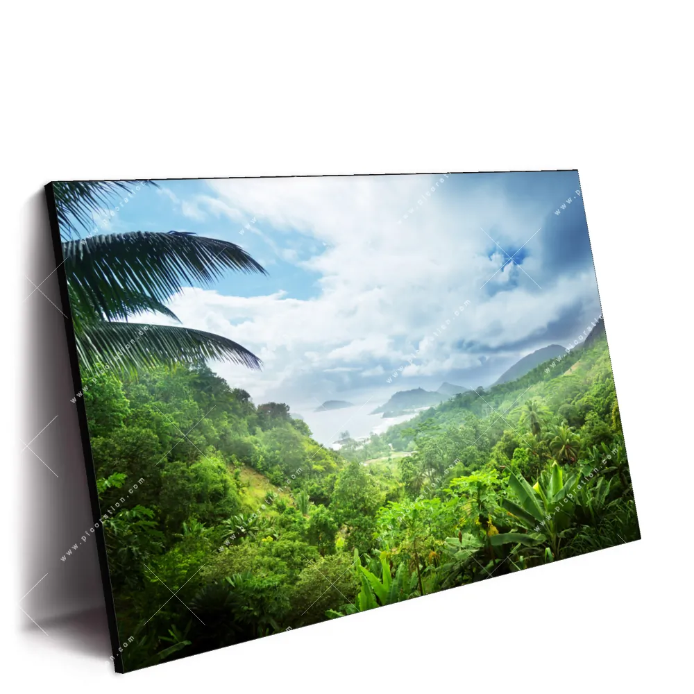 🖼️ XXL-Wandbild - Der Dschungel im Querformat – Picoration® - Big Wall ...