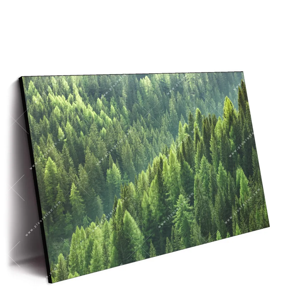 🖼️ XXL-Wandbild - Der Wald im Querformat – Picoration® - Big Wall Design