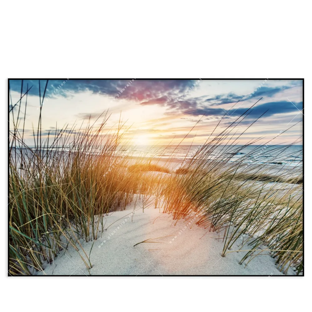 🖼️ XXL-Wandbild - Dünen und Meer im Querformat – Picoration® - Big Wall ...