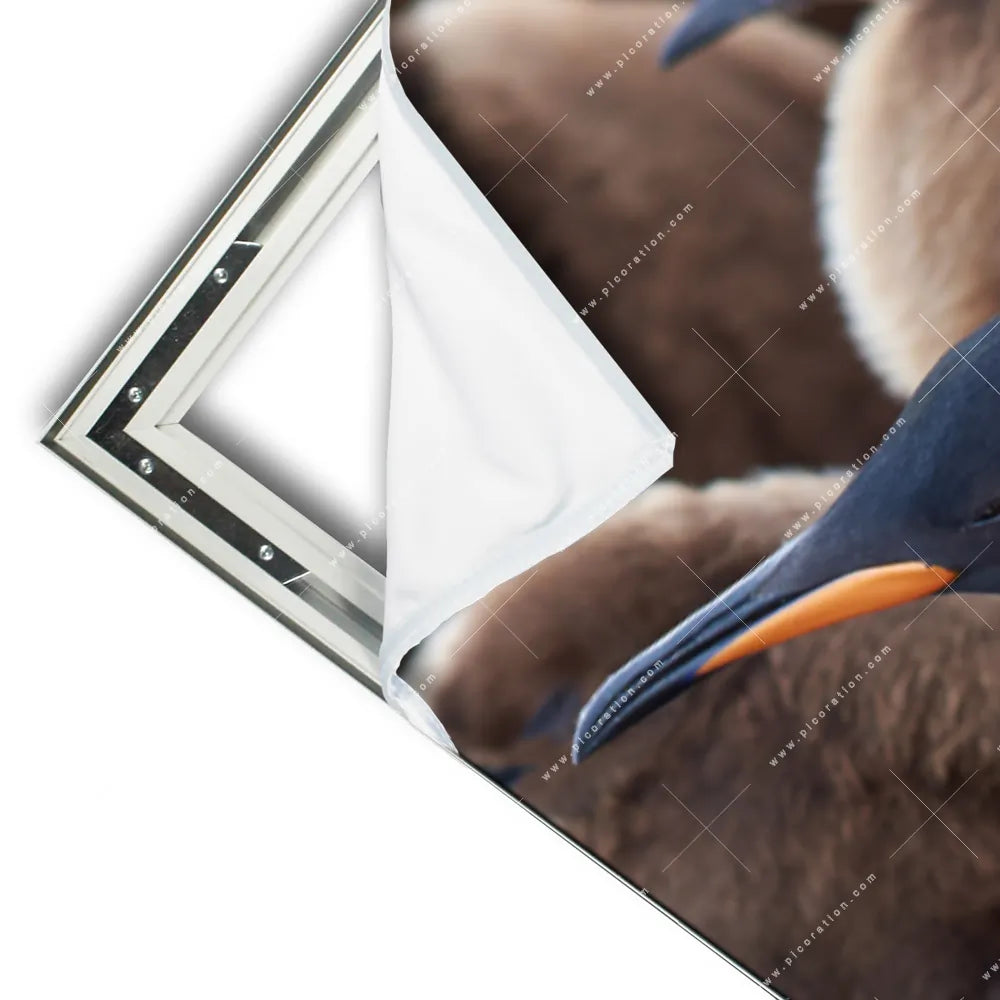 🖼️ XXL-Wandbild - Königspinguine im Schmal