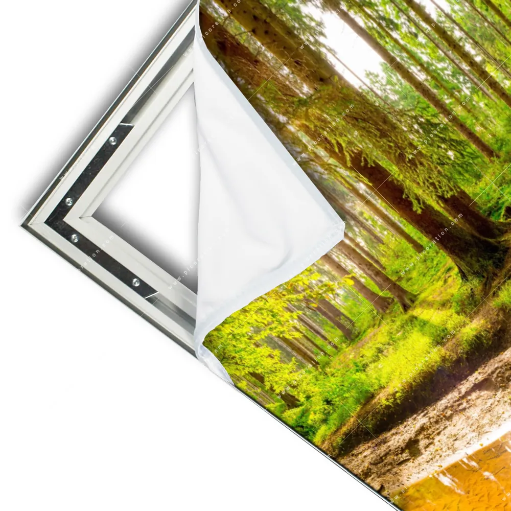 🖼️ XXL-Wandbild - Sonne im grünen Wald im Querformat – Picoration ...