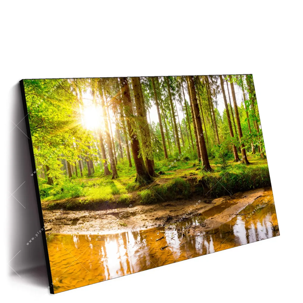 🖼️ XXL-Wandbild - Sonne im grünen Wald im Querformat – Picoration ...