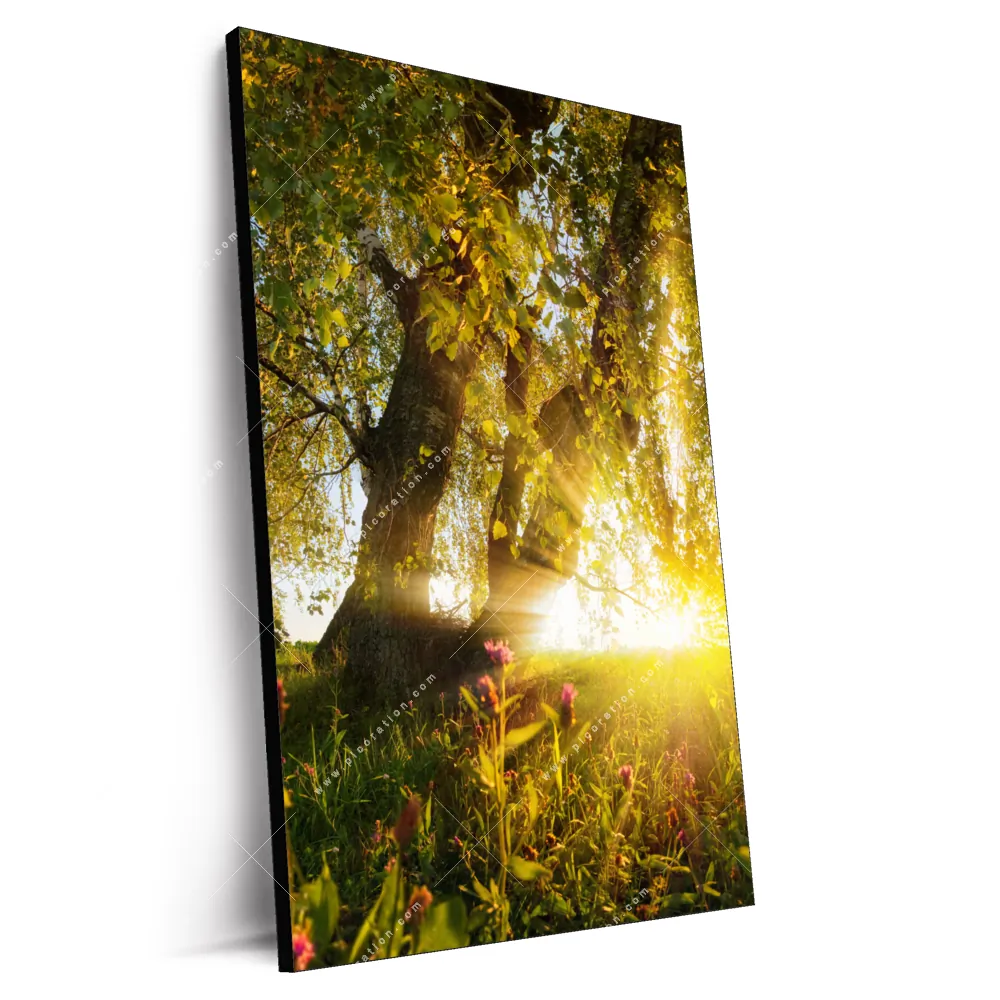🖼️ XXL-Wandbild - Unberührte Natur im Hochformat – Picoration® - Big ...