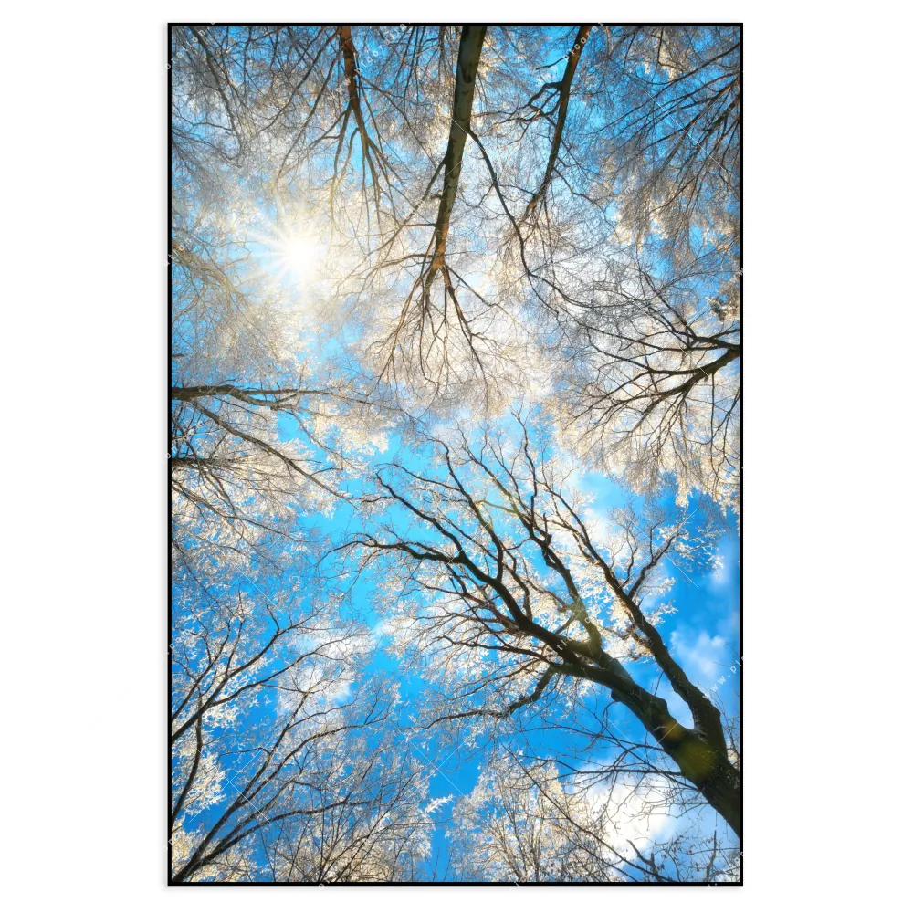 🖼️ XXL-Wandbild - Wald im Winter im Hochformat – Picoration® - Big Wall ...