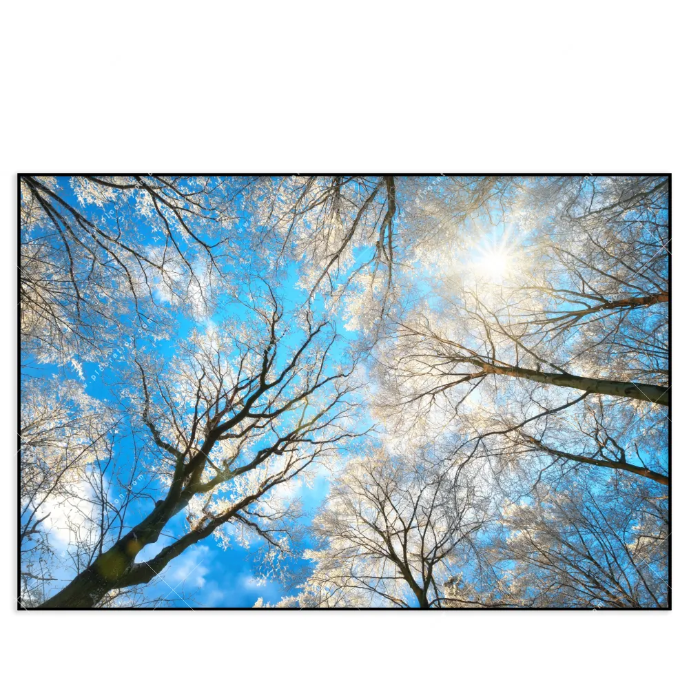 🖼️ XXL-Wandbild - Wald im Winter im Querformat