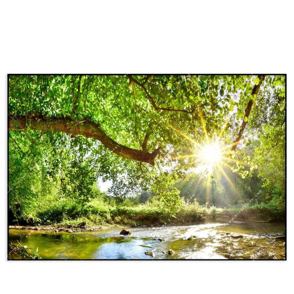 🖼️ XXL-Wandbild - Wald mit Bach bei Sonnenschein im Querformat