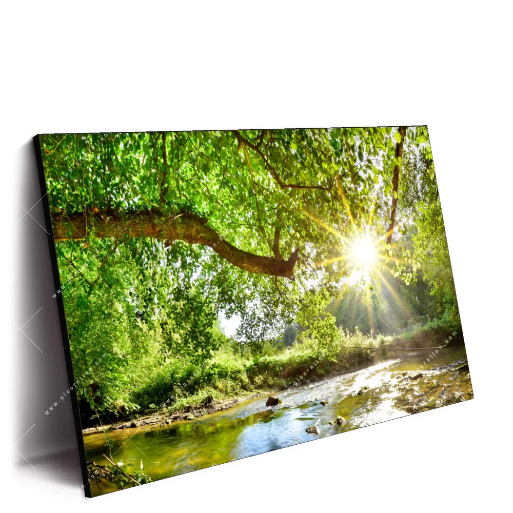 🖼️ XXL-Wandbild - Wald mit Bach bei Sonnenschein im Querformat ...