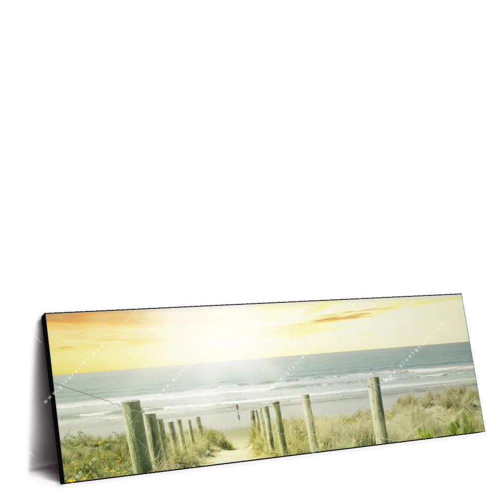 🖼️ XXL-Wandbild - Weg zum Strand im Panorama – Picoration® - Big Wall ...